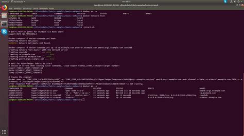 Docker Peer Exit Immediatly After Starting With Fatal Error Unexpected Signal During Runtime