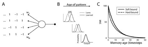 Soft Bounded Synapses Increase Neural Network Capacity Mapping Ignorance