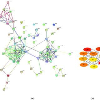 PI Specific Network A The Protein Protein Interaction Network Of Download Scientific Diagram