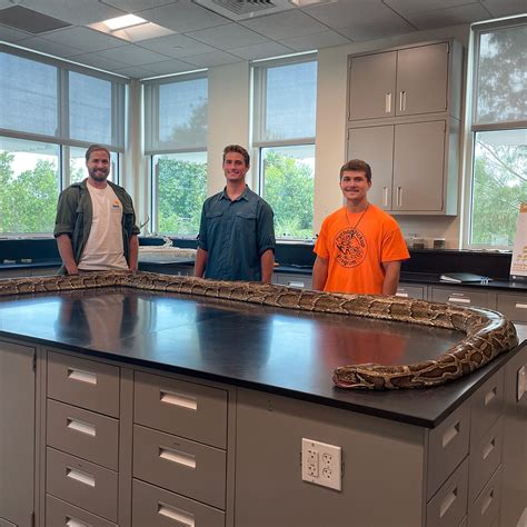 Longestpython Conservancy Of Southwest Florida