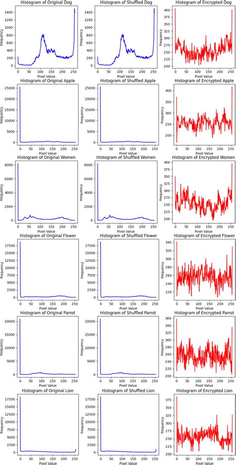 Cureus Journals