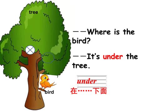 Unit 4 Where Is My Car Part A Lets Learn方位介词 课件 共18张ppt 21世纪教育网