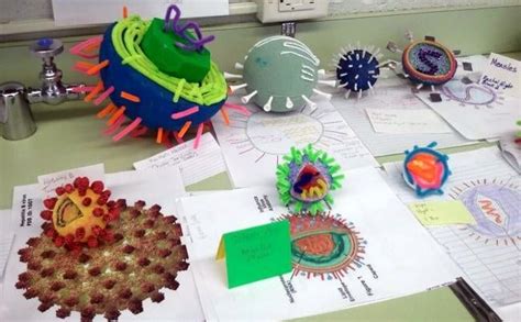 Virus Model Project