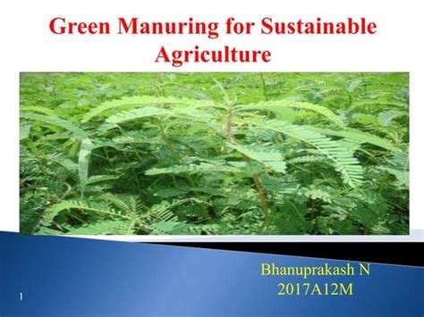 Green Manuring Pptx