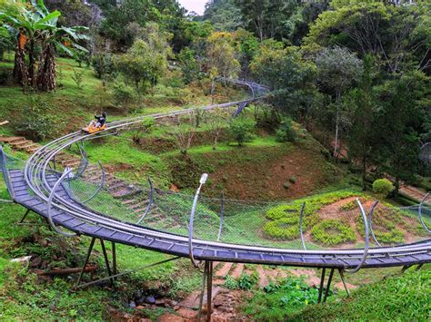 Datanla New Alpine Coaster Tickets In Da Lat Vietnam Kkday
