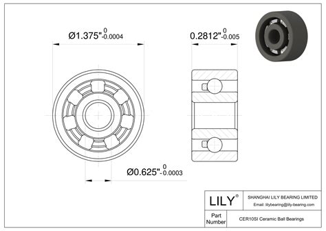 Cesi R10 Inch Size Silicon Nitride Ceramic Bearings Lily Bearing
