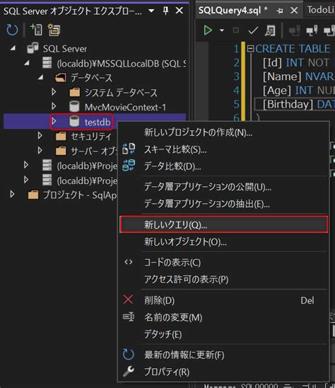 【c】sql Serverに接続してselect文を実行する