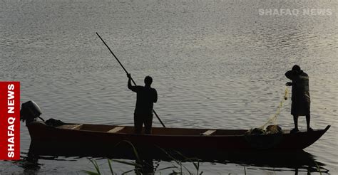 From Drought To Saltwater Iraqs Deepening Water Crisis Shafaq News