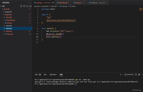Golang学习笔记 包golang Found Packages Csdn博客