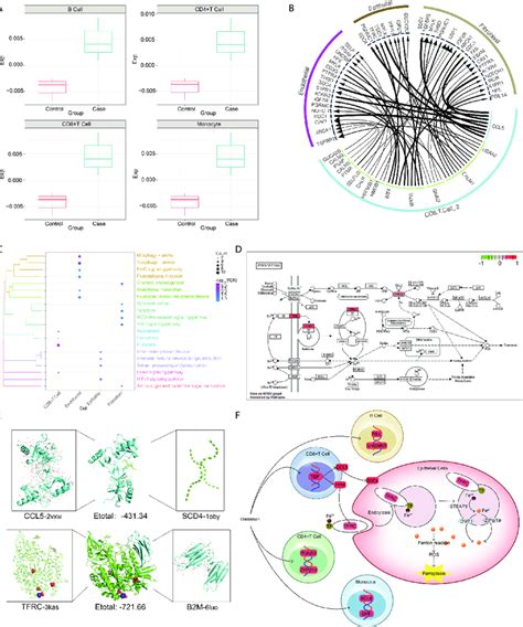 Rt Induced Intercellular Communication Of Microenvironmental Immune