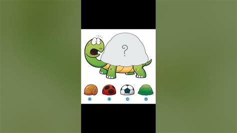 Solve The Turtle Problem Haveanidea Ytshorts Shorts Youtube