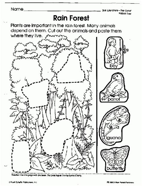 Rainforest Activities For Preschoolers Rain Forest One Rainforest