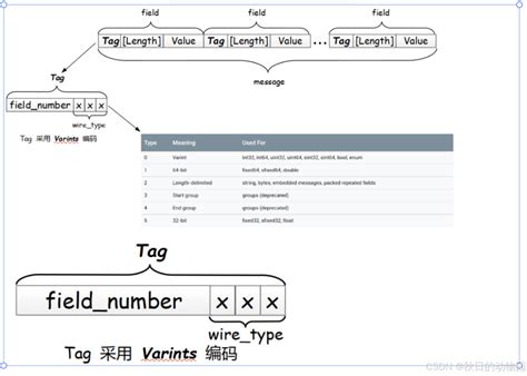 protobuf及其使用 csdn博客