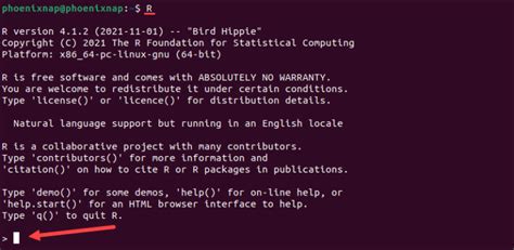 How To Install R On Ubuntu And