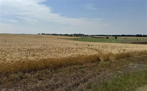 Tbd Hwy 63 Timber Lake Sd 57656