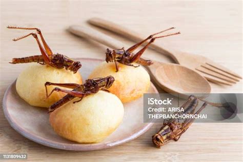 메뚜기는 식용 곤충으로 음식 곤충 튀김 바삭한 스낵과 빵 나무 배경에 나무 숟가락으로 판에 구운 그것은 단백질의 좋은 소스입니다 토모 식 컨셉 단백질에 대한 스톡 사진 및