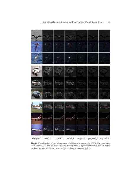 hierarchical bilinear pooling for fine grained visual recognition deepai