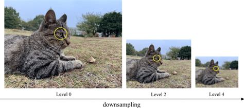 Gaussian Image Pyramid The Downsampling Images From Level 0 To Level 4 Download Scientific