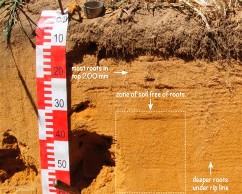 Soil Compaction Explained Soil Quality Knowledge Base Soil Compaction Explained Soil Quality Knowledge Base