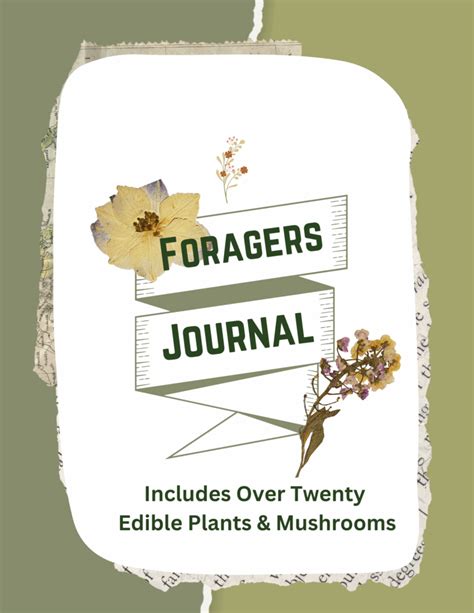 Foraging For Burdock Root Guide To Harvesting Uses And Safety