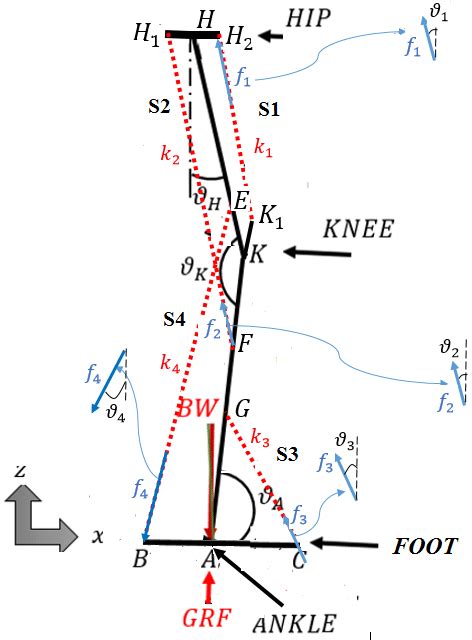 Bipedal Locomotion Model With Compliant Legs Only One Of The Two Legs Download Scientific