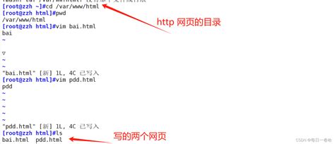 Linux系统安全：安全技术 和 防火墙（非常详细）零基础入门到精通，收藏这一篇就够了基于linux内核模块的防御端口扫描防火墙 Csdn博客