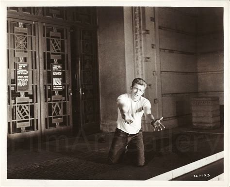 Rebel Without A Cause Movie Poster 1955 Color Still 8x10