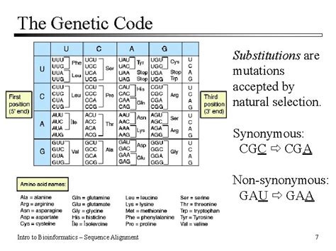 Introduction To Bioinformatics Sequence Alignments Sequence Alignments