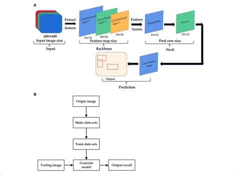 The Principle Of Sperm Survival Detection Based On Yolov4 A Yolov4 Download Scientific