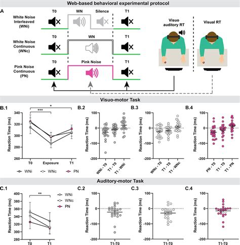 Web Based Behavioural Experiment A Schematic Representation Of Download Scientific Diagram
