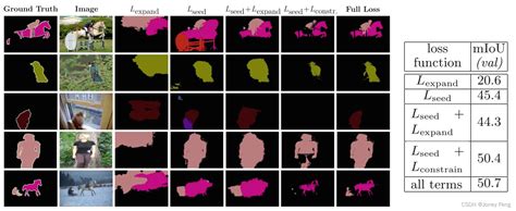 第三章：seed expand and constrain ——种子、扩展和约束：弱监督图像分割的三个原则 深度学习expand什么意思 csdn博客