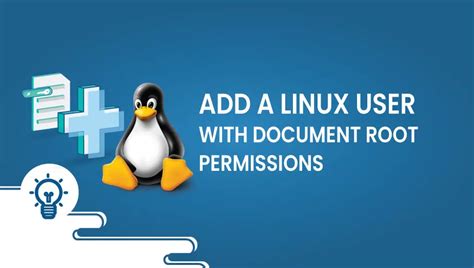 Add A Linux User With Document Root Permissions Vpsie