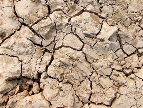 How To Fix Compacted Soil In Your Yard All Around Soil Stone