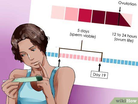 Ways To Know When You Are Ovulating WikiHow