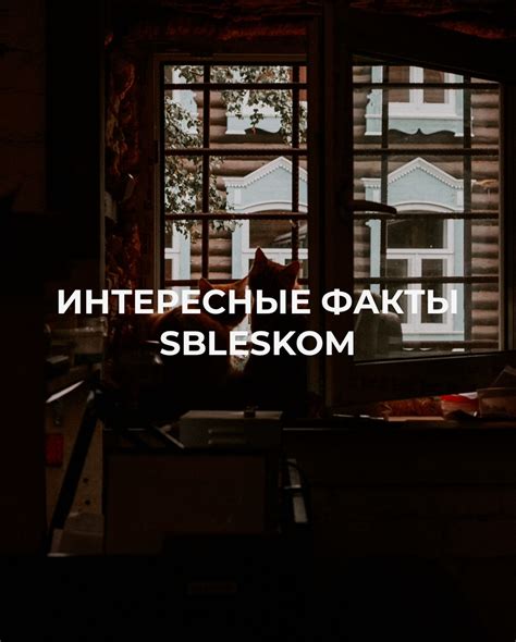 Украшения С БЛЕСКОМ из Сибири (@sbleskomru) • Instagram photos and videos