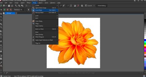 How To Remove Background In Coreldraw