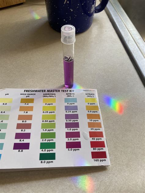 1 Ppm Nitrite Reading On My 29 Gallon Molly Tank 4 Adult Female Molly