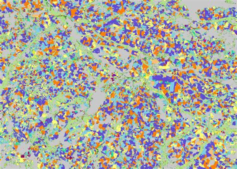 Crop Type Maps Germany