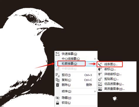 Coreldraw图片怎么转换成矢量图 Coreldraw矢量图怎么保持形状变细 Coreldraw中文网站