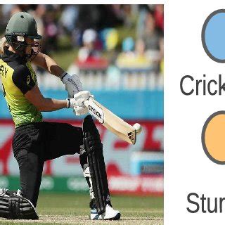 Example Of Label Dependencies In Multi Label Classification In This Download Scientific