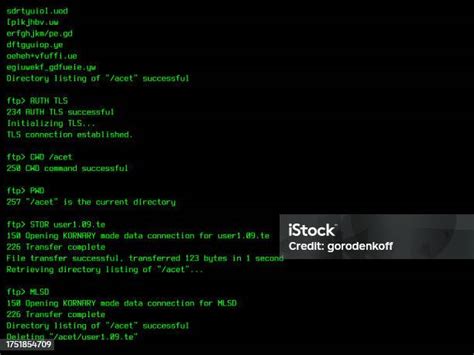 Retro File Manager Login Sequence Template For 90s Computer Display