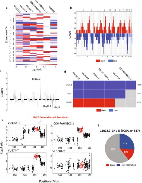 Somatic Copy Number Alternation Scna Analysis In Fa Hnscc Cells