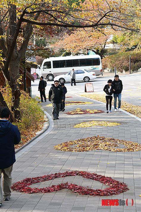 낙엽으로 만든 예쁜 하트