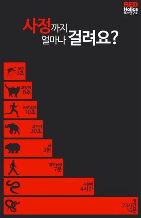 기마노 on Twitter 모기 수인 지정 섹스 어때여 개야하지 않나요 크림파이 ㅎㅎ