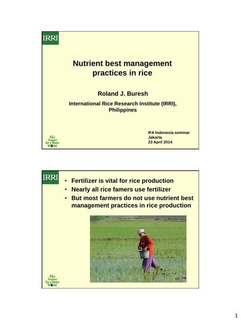 Pdf Nutrient Best Management Practices In Rice · Nutrient Best Management Practices In Rice