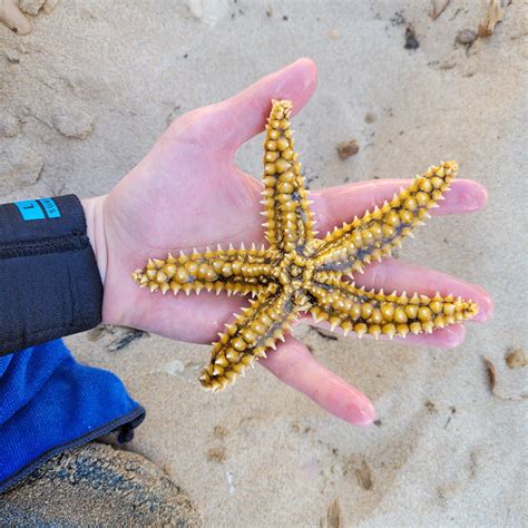 Daily Hugo Post Rforsen Daily Hugo Post Rforsen