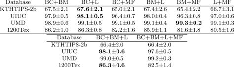 Classification Accuracy For Some Combinations Of Fractal Descriptors