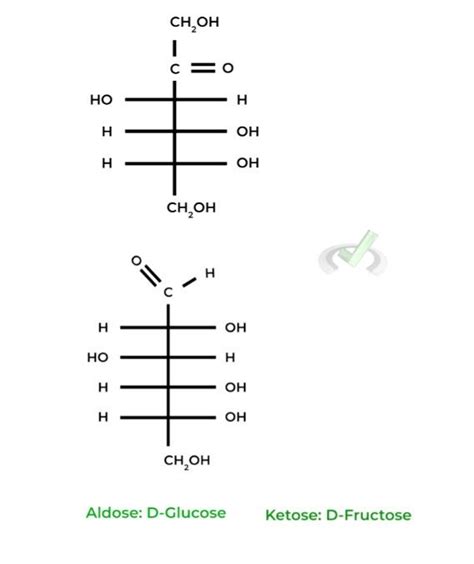 Carbohydrates Structural Description On The Mcat Medlife Mastery