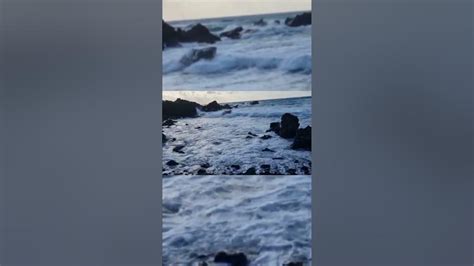 바람이 많이부는 제주바다 파도소리🌊 Youtube