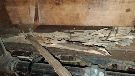 Termite Control Mid State Pest Control